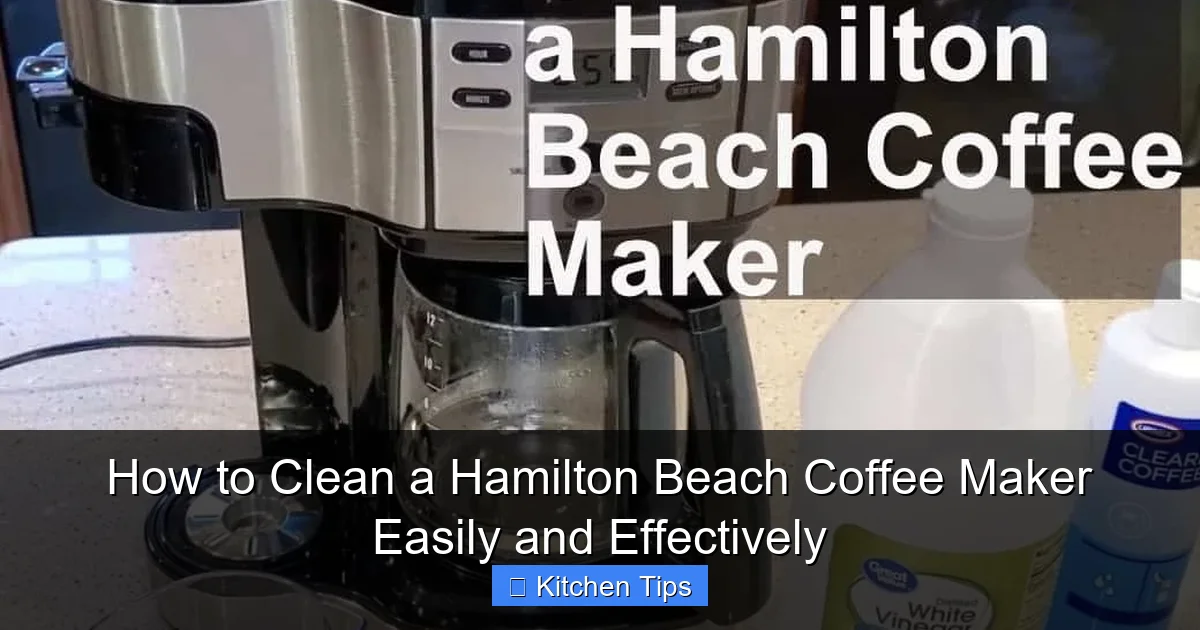 How to Clean a Hamilton Beach Coffee Maker Easily and Effectively ...