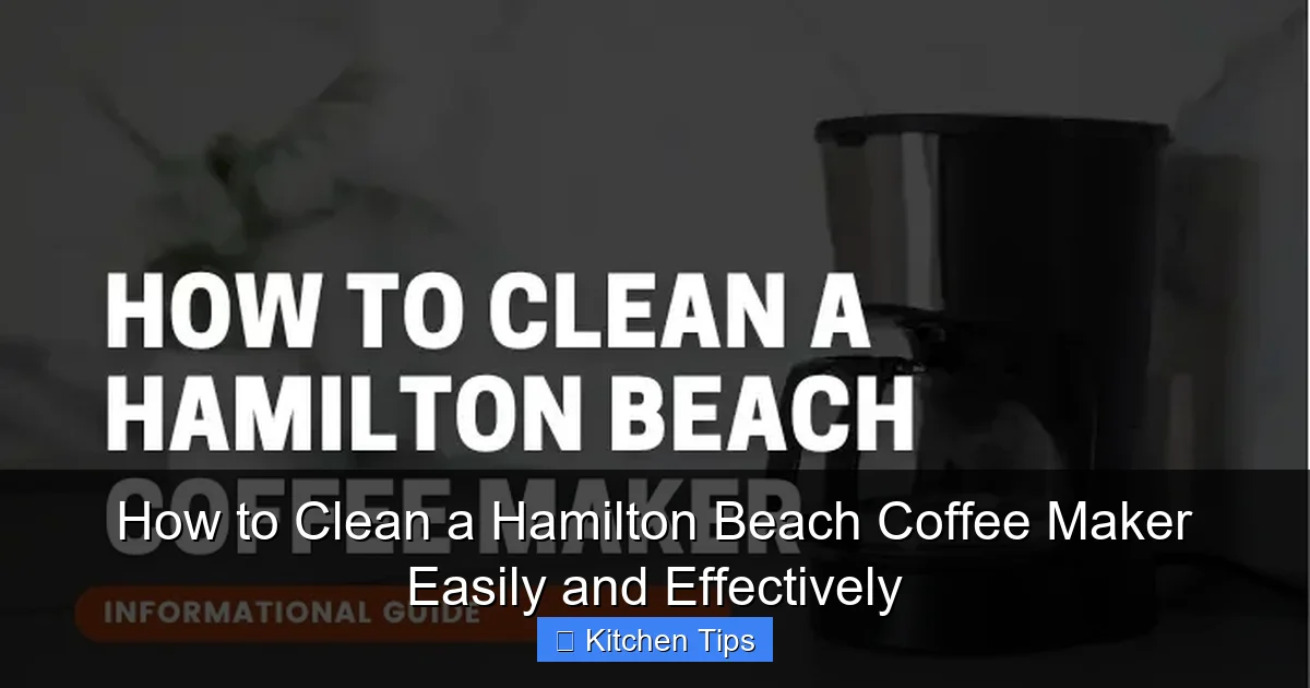 How to Clean a Hamilton Beach Coffee Maker Easily and Effectively ...