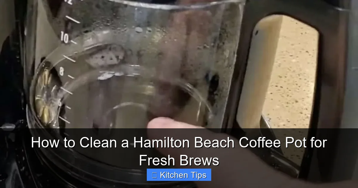 How to Clean a Hamilton Beach Coffee Pot for Fresh Brews | Luna's ...