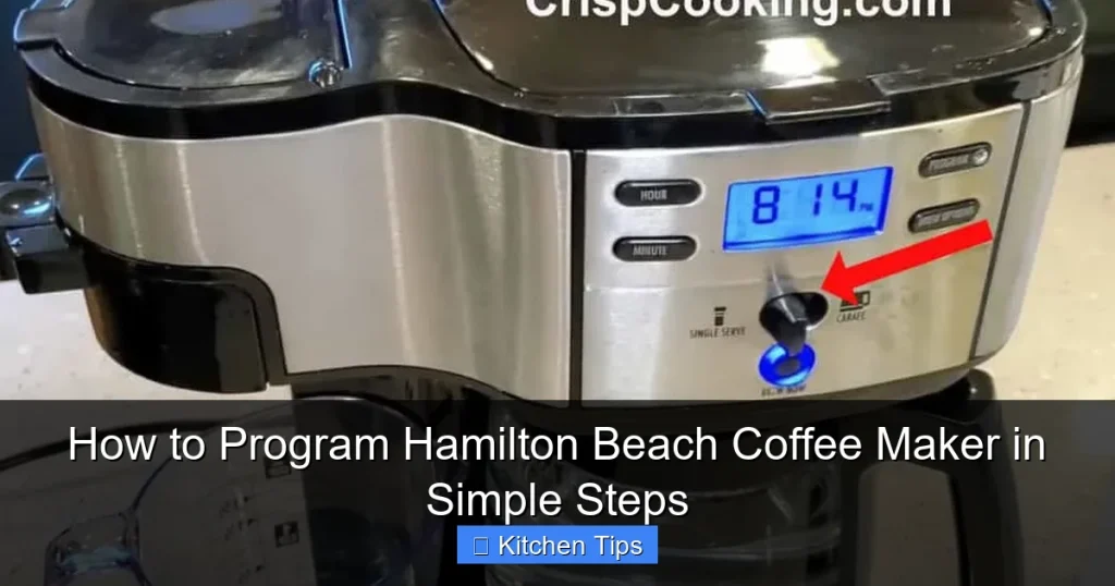 How to Program Hamilton Beach Coffee Maker in Simple Steps | Luna's ...