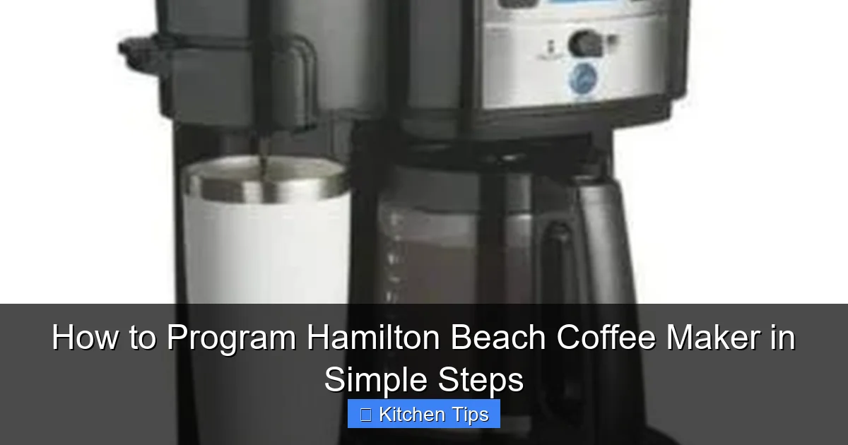 How to Program Hamilton Beach Coffee Maker in Simple Steps | Luna's ...