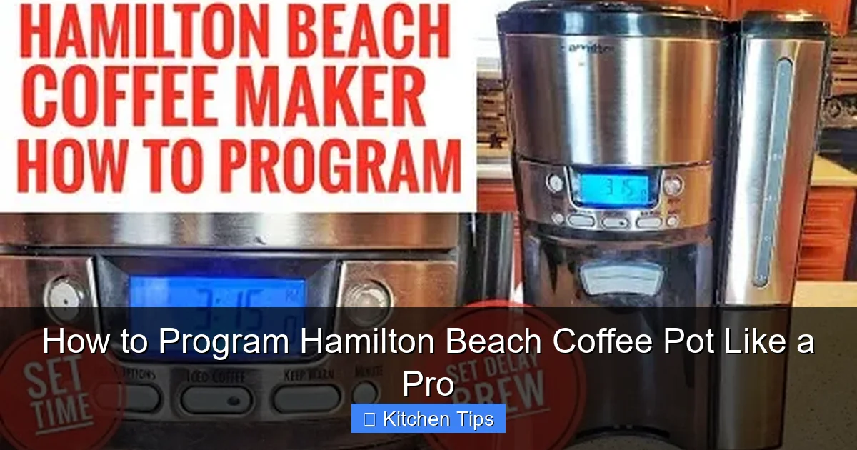 How to Program Hamilton Beach Coffee Pot Like a Pro | Luna's Kitchen Tips
