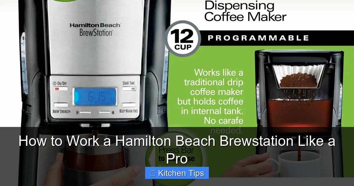 How to Work a Hamilton Beach Brewstation Like a Pro | Luna's Kitchen Tips