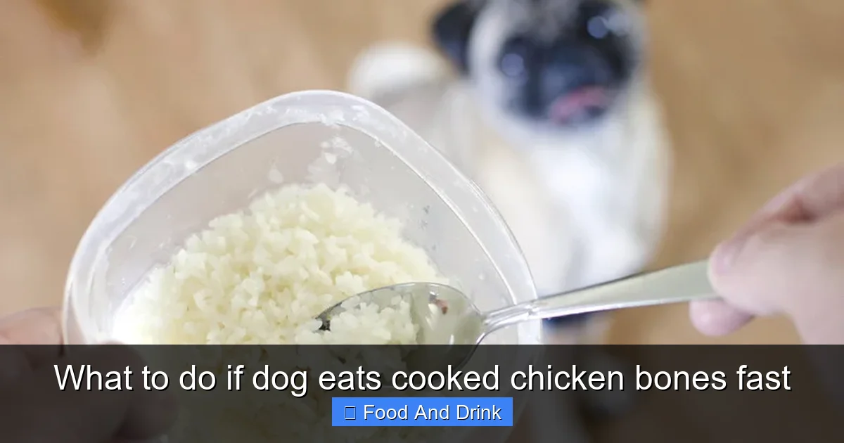 What to do if dog eats cooked chicken bones fast | Luna's Kitchen Tips